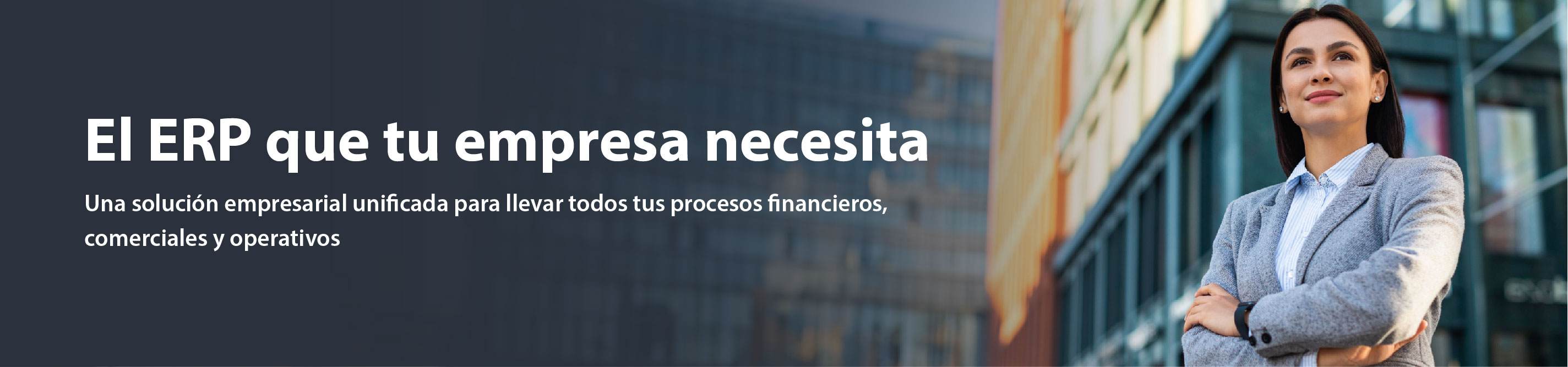 Oracle Netsuite - Sitio público - Datum Redsoft